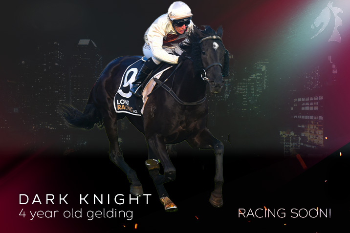 MyRacehorse - Horse Racing Ownership. Buy a racehorse share. Starting ...