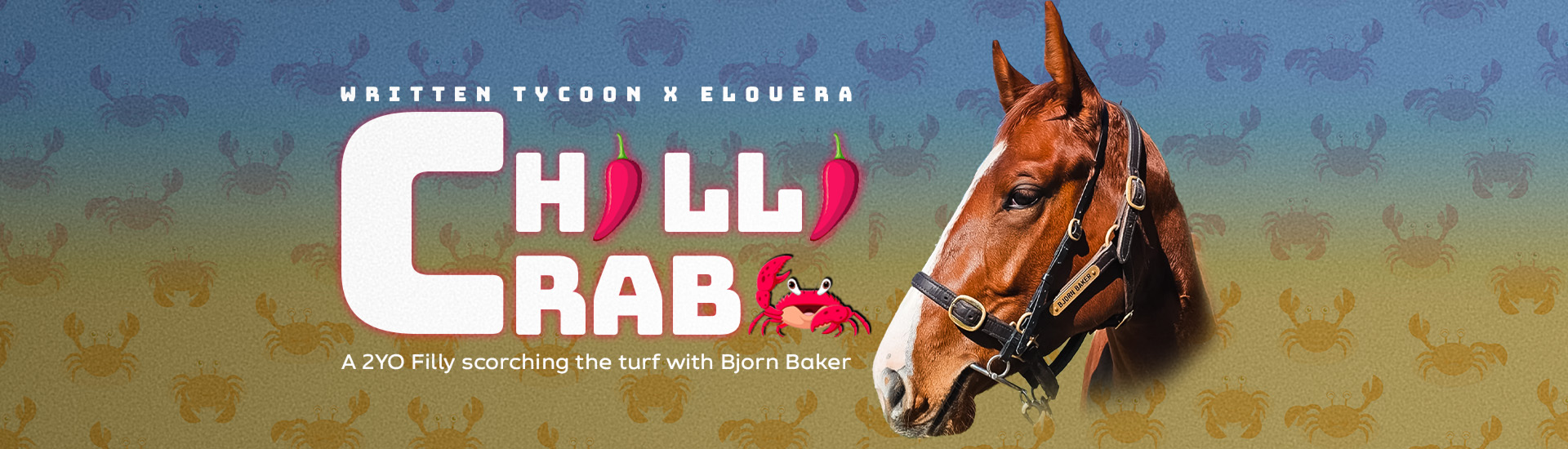 MyRacehorse - Horse Racing Ownership. Buy a racehorse share. Starting ...