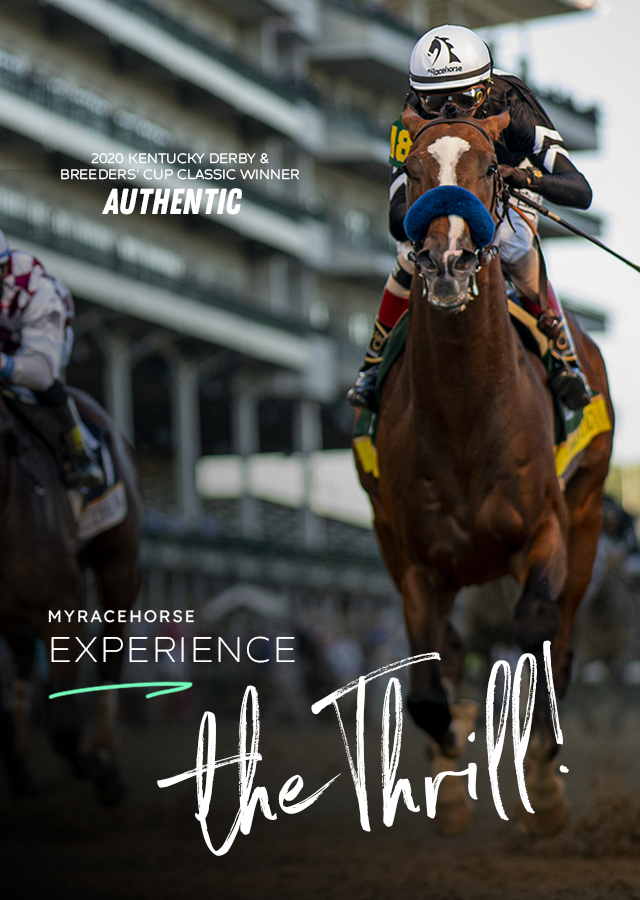 MyRacehorse - Horse Racing Ownership. Buy a racehorse share. Starting ...