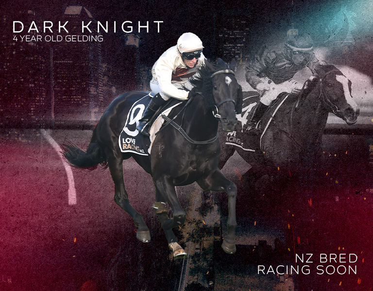 MyRacehorse - Horse Racing Ownership. Buy a racehorse share. Starting ...