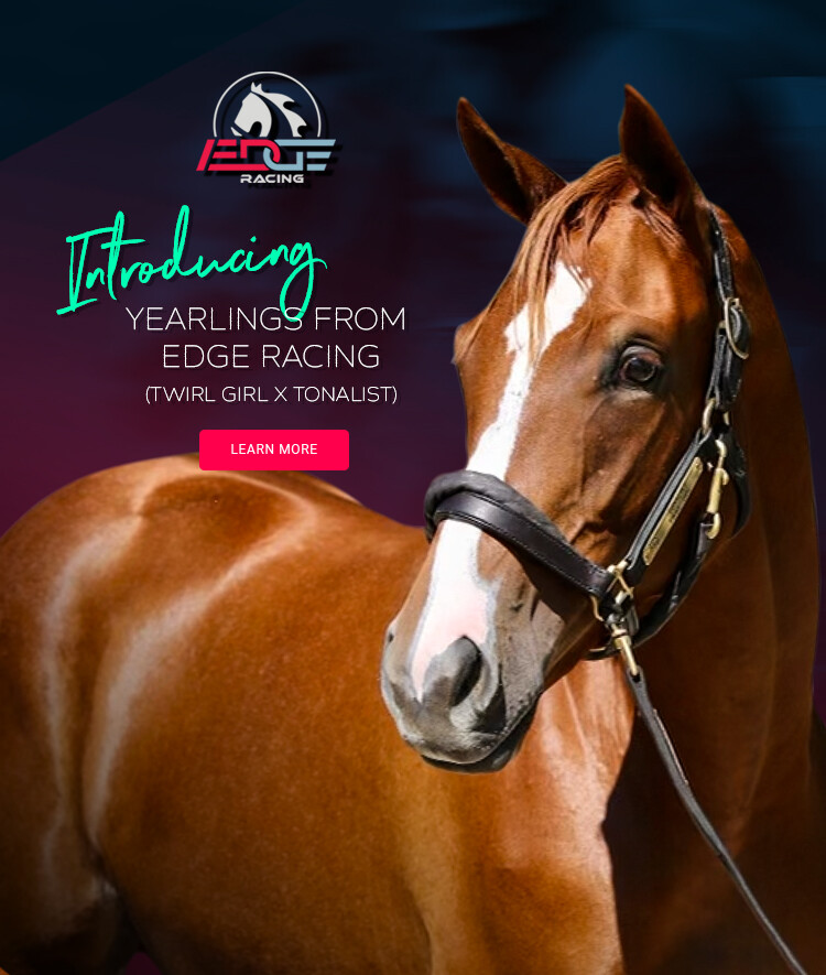 MyRacehorse - Horse Racing Ownership. Buy a racehorse share. Starting ...