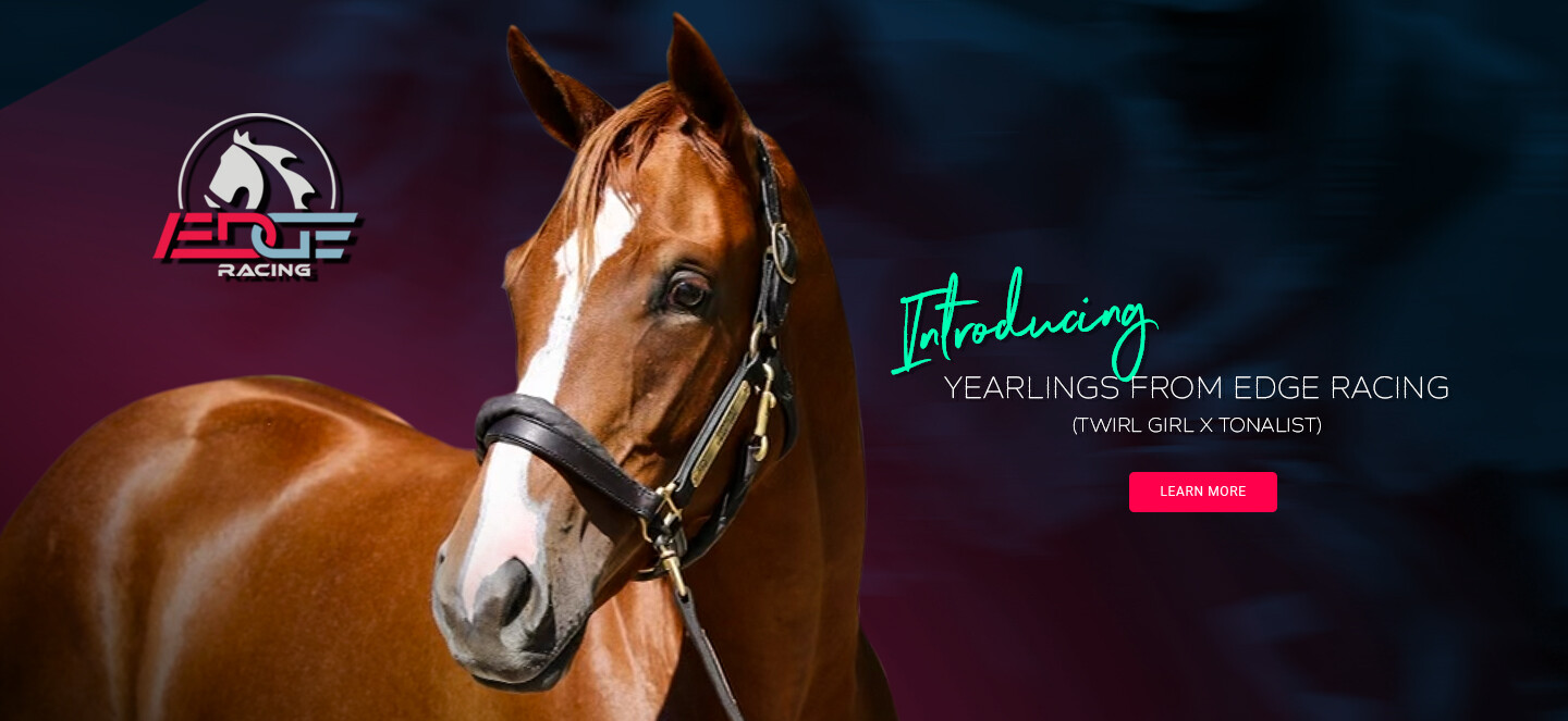 MyRacehorse - Horse Racing Ownership. Buy a racehorse share. Starting ...