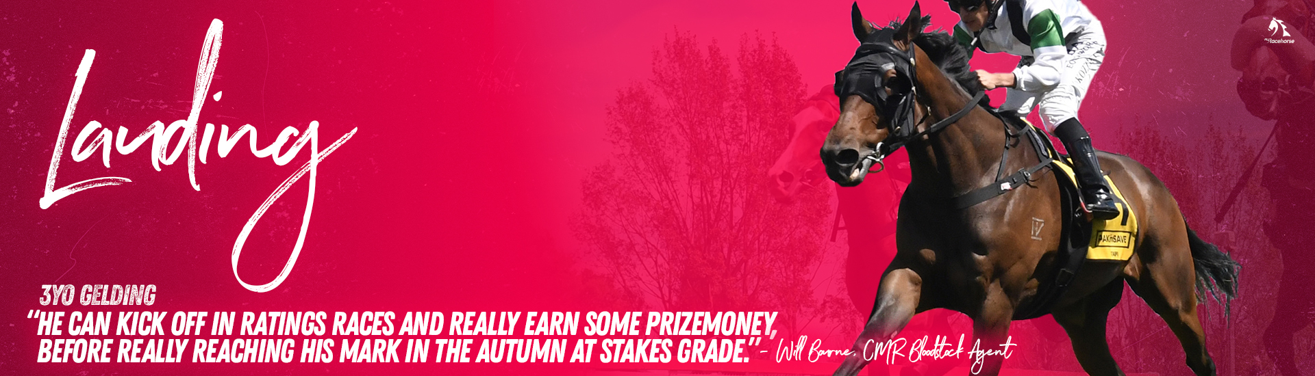 MyRacehorse - Horse Racing Ownership. Buy a racehorse share. Starting ...