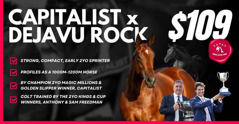 MyRacehorse - Horse Racing Ownership. Buy a racehorse share. Starting ...