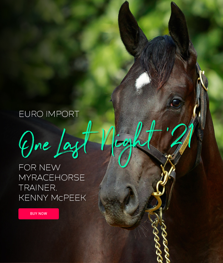 MyRacehorse - Horse Racing Ownership. Buy a racehorse share. Starting ...