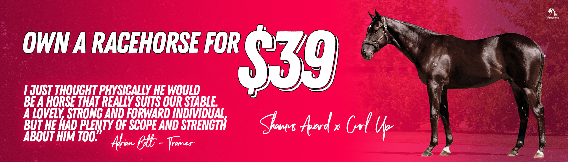 MyRacehorse - Horse Racing Ownership. Buy a racehorse share. Starting ...