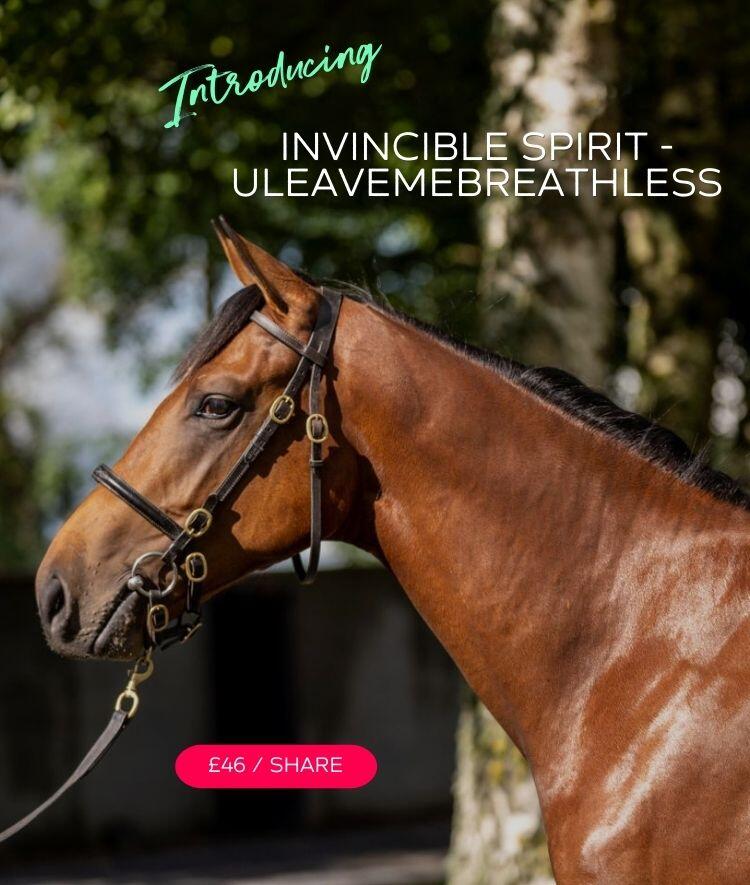 MyRacehorse - Horse Racing Ownership. Buy a racehorse share. Starting ...