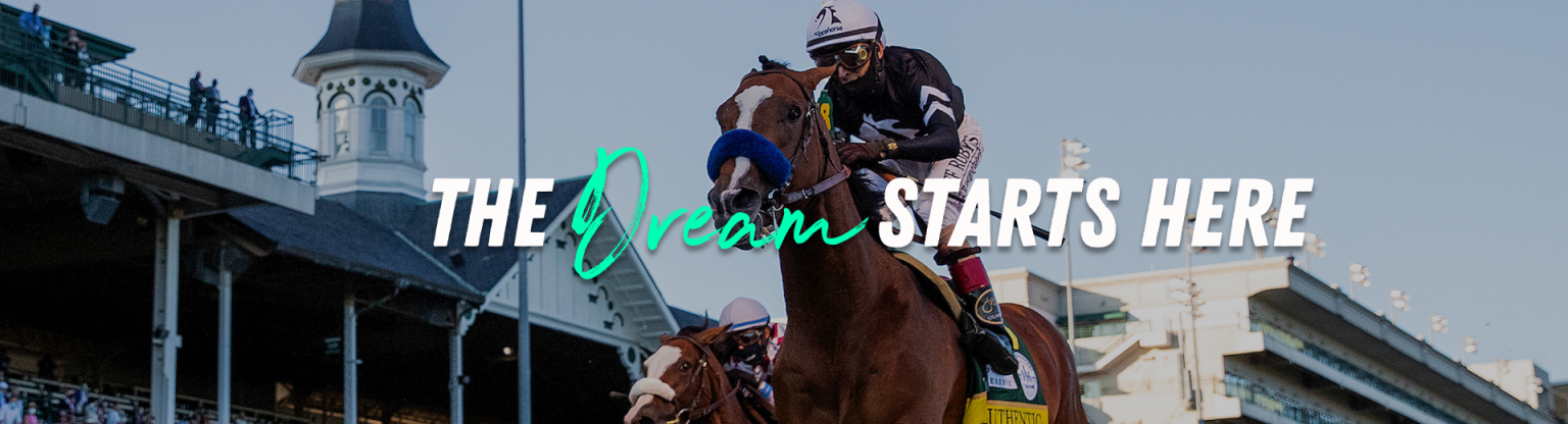 MyRacehorse - Horse Racing Ownership. Buy a racehorse share. Starting ...