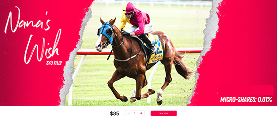 MyRacehorse - Horse Racing Ownership. Buy a racehorse share. Starting ...