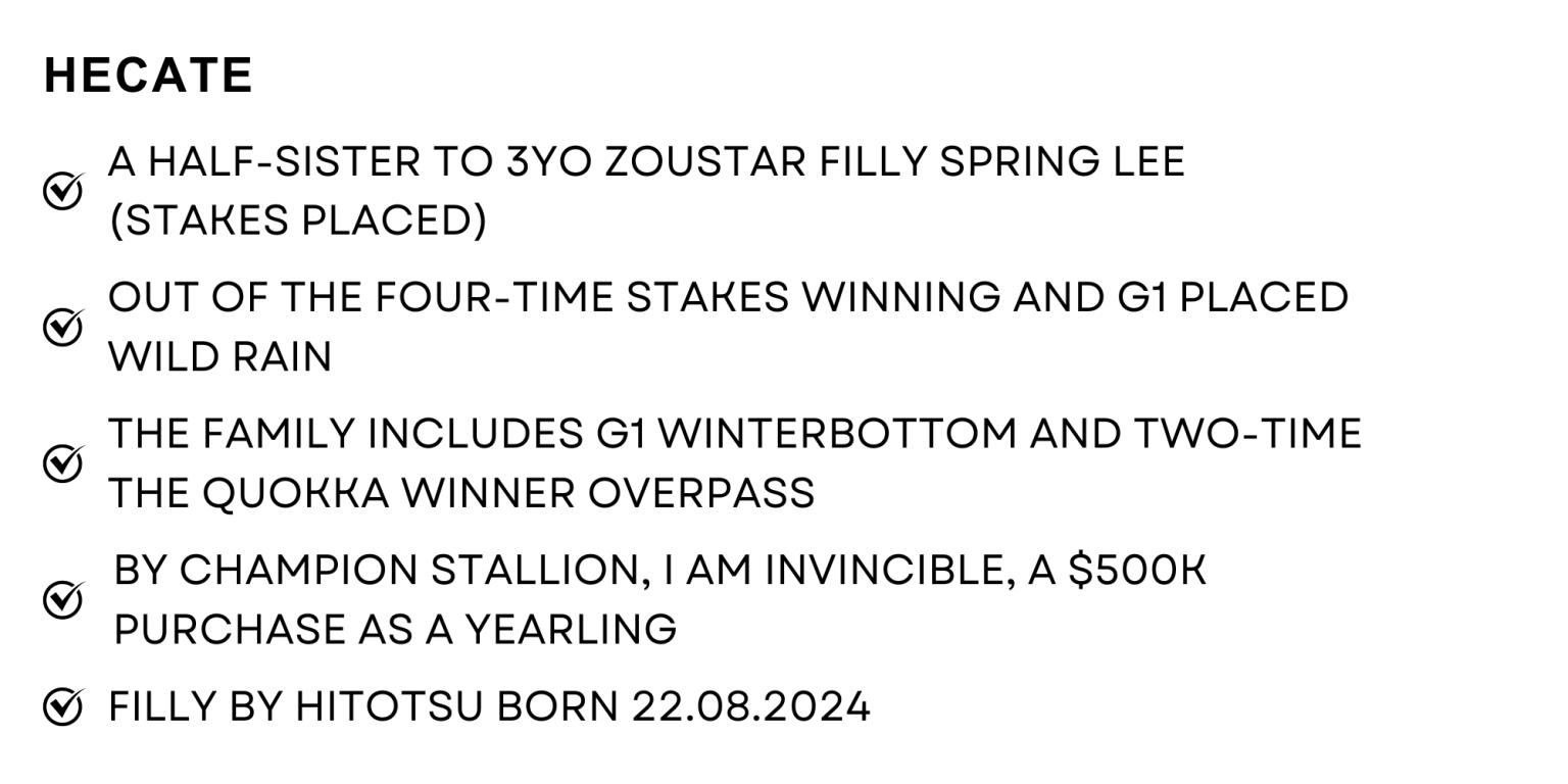 MyRacehorse - Horse Racing Ownership. Buy a racehorse share. Starting ...