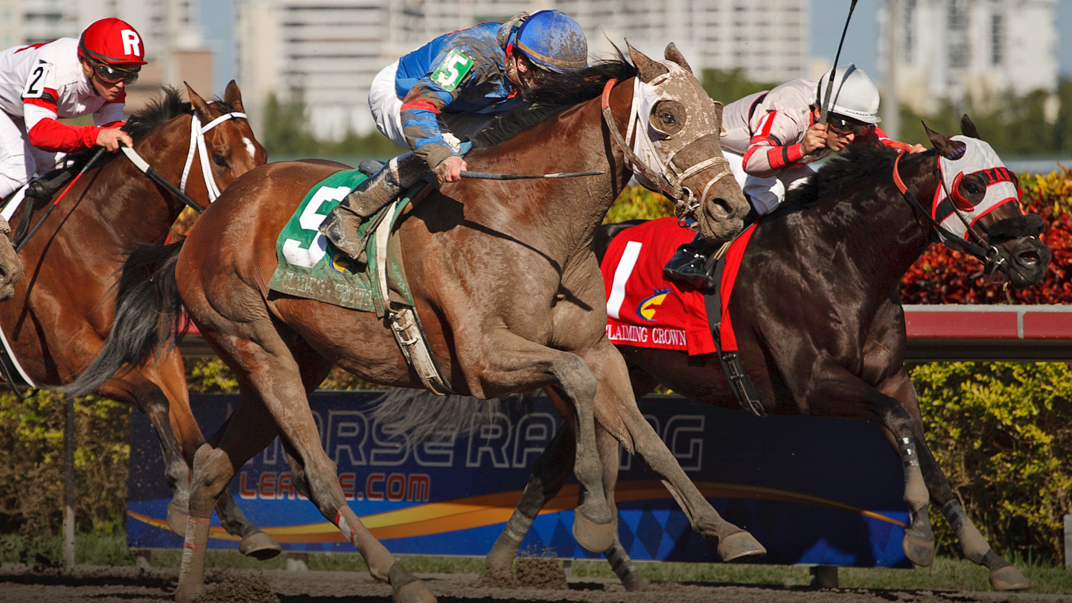 MyRacehorse - Horse Racing Ownership. Buy a racehorse share. Starting ...