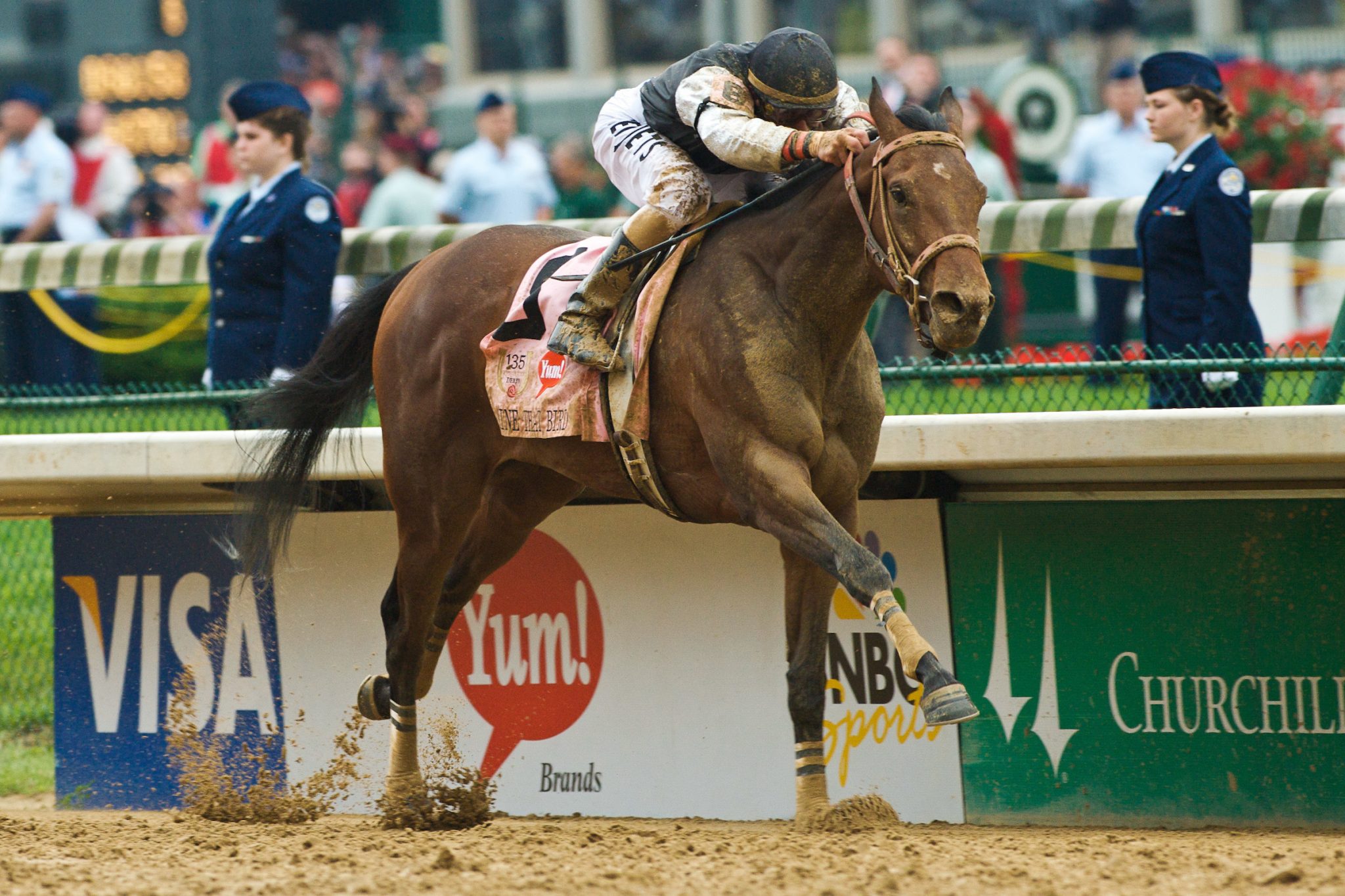 MyRacehorse - Horse Racing Ownership. Buy a racehorse share. Starting ...