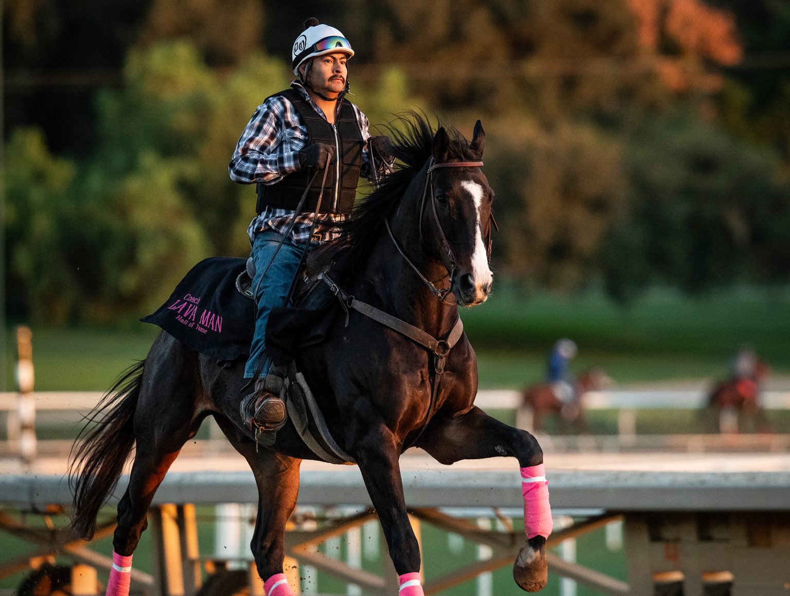 MyRacehorse - Horse Racing Ownership. Buy a racehorse share. Starting ...